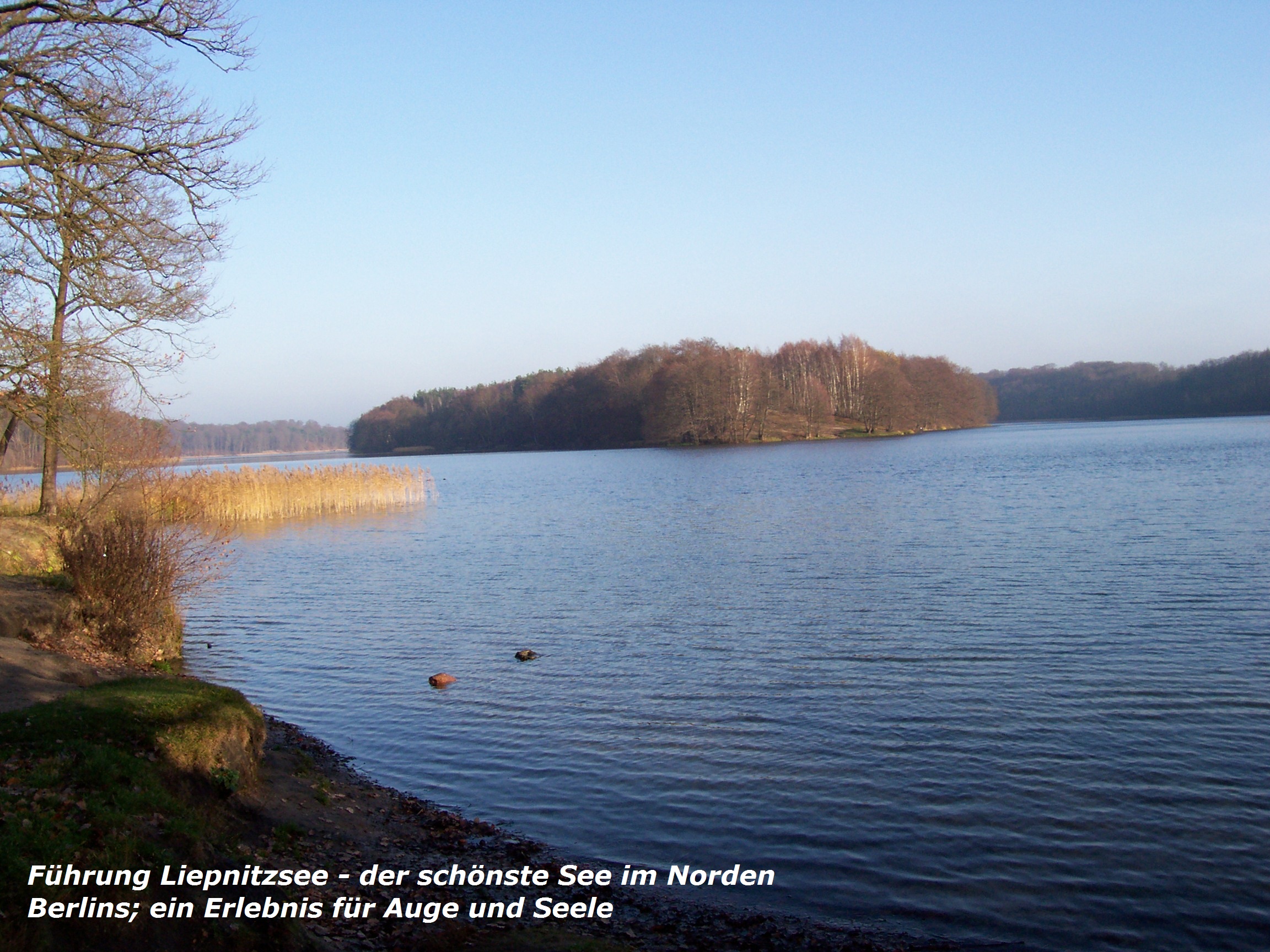 Apartment und Ferienbungalow in Wandlitz - Home